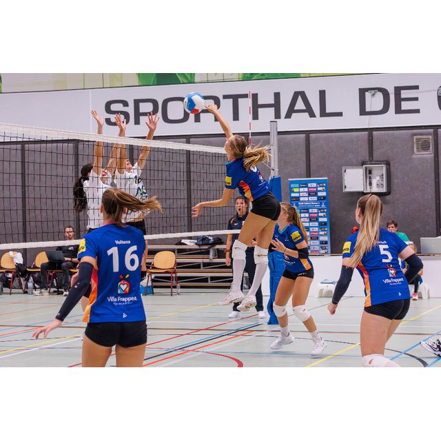 Voltena doet stapje terug en vertrekt uit Eredivisie Dames - Volleybalkrant